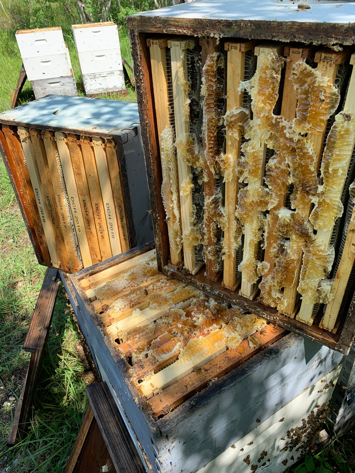 How do you Harvest Honey Supers? — The Bee Supply