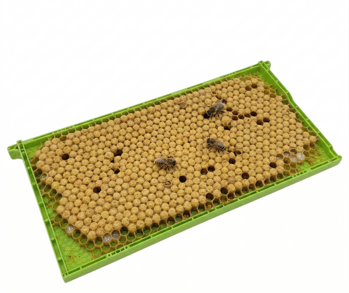 How to Use Green Drone Frames for Varroa Management (and What to Do Wh ...