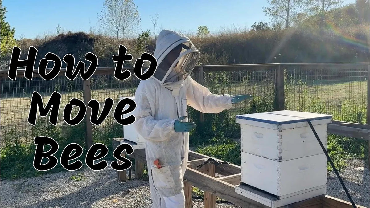 How to Move Bees Video — The Bee Supply