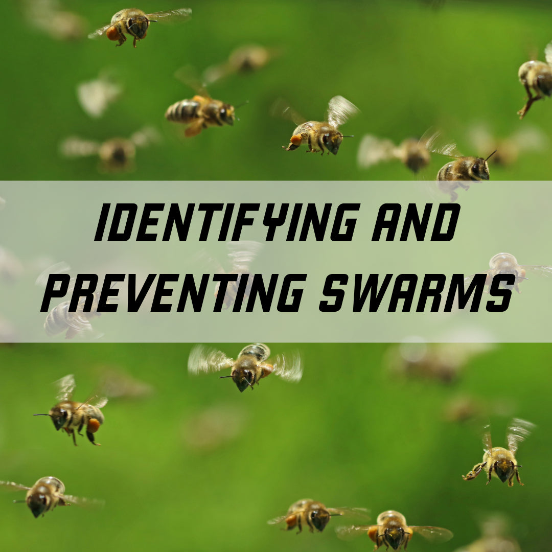 IDENTIFYING AND PREVENTING SWARMS — The Bee Supply