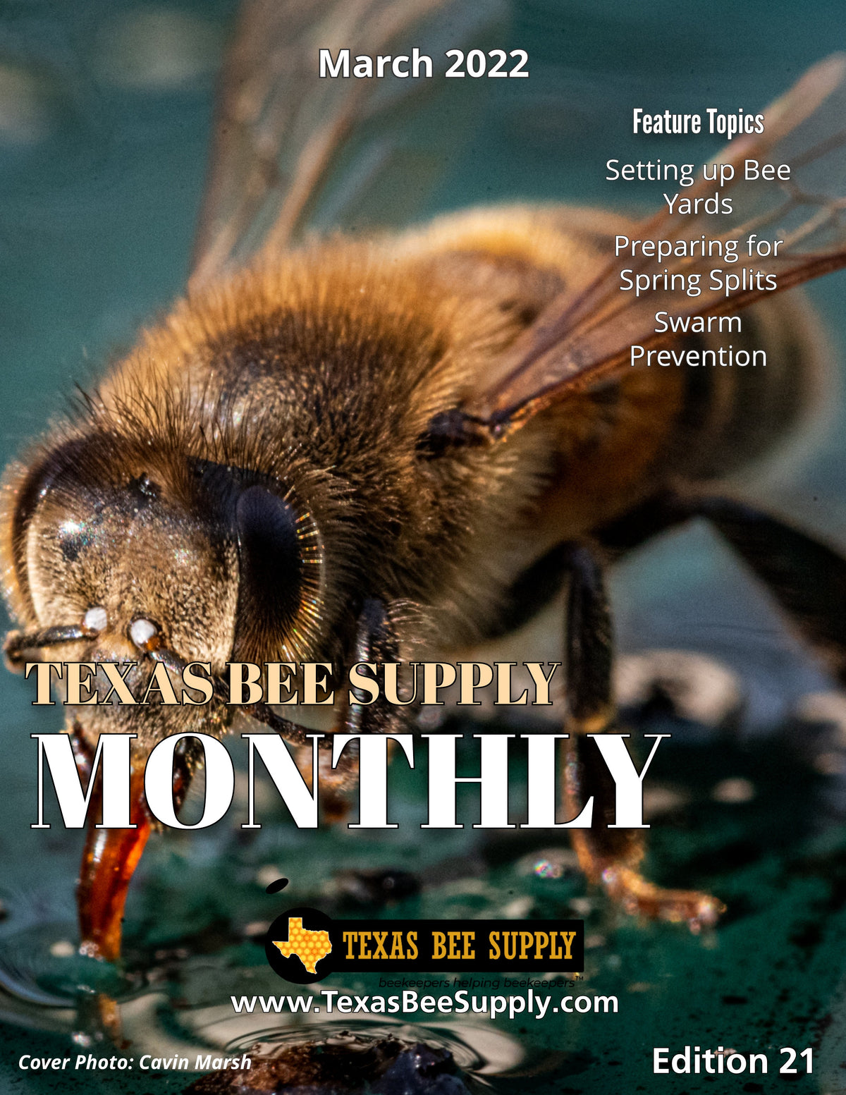Texas Bee Supply Monthly - March 2022 — The Bee Supply