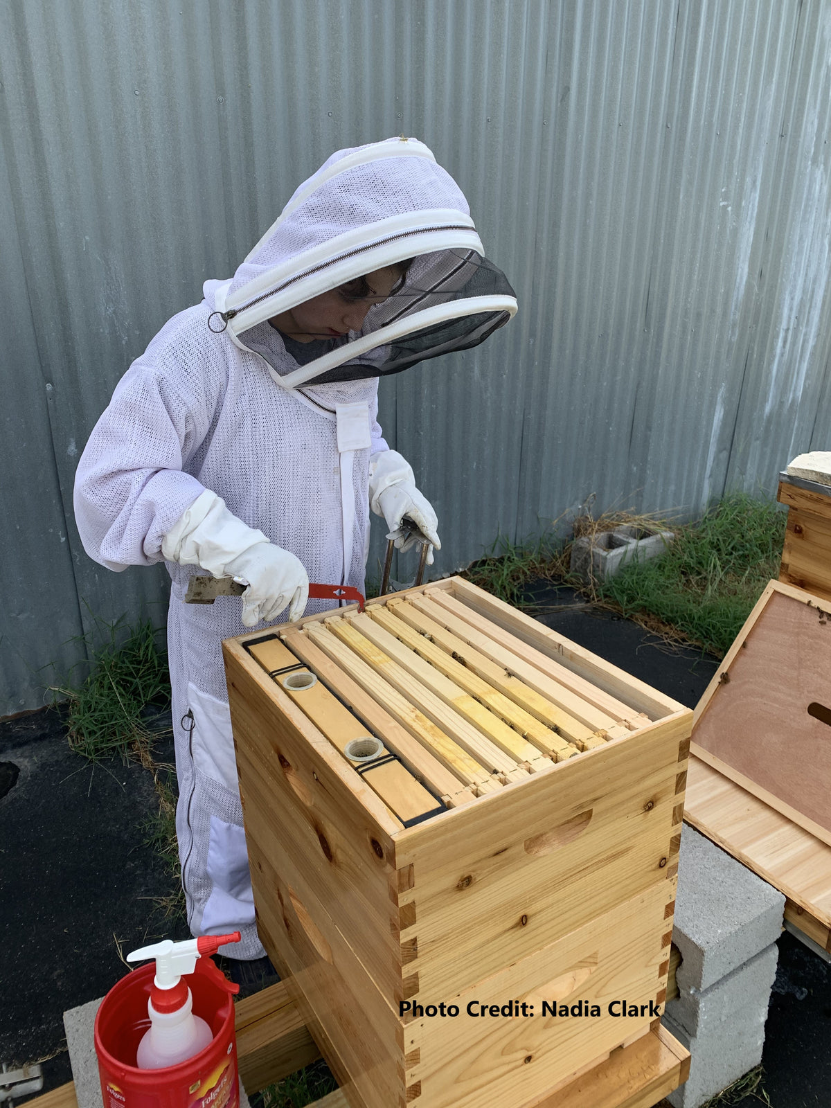 Beekeeping Tools: Top Tools Every Beekeeper Should Have — The Bee Supply