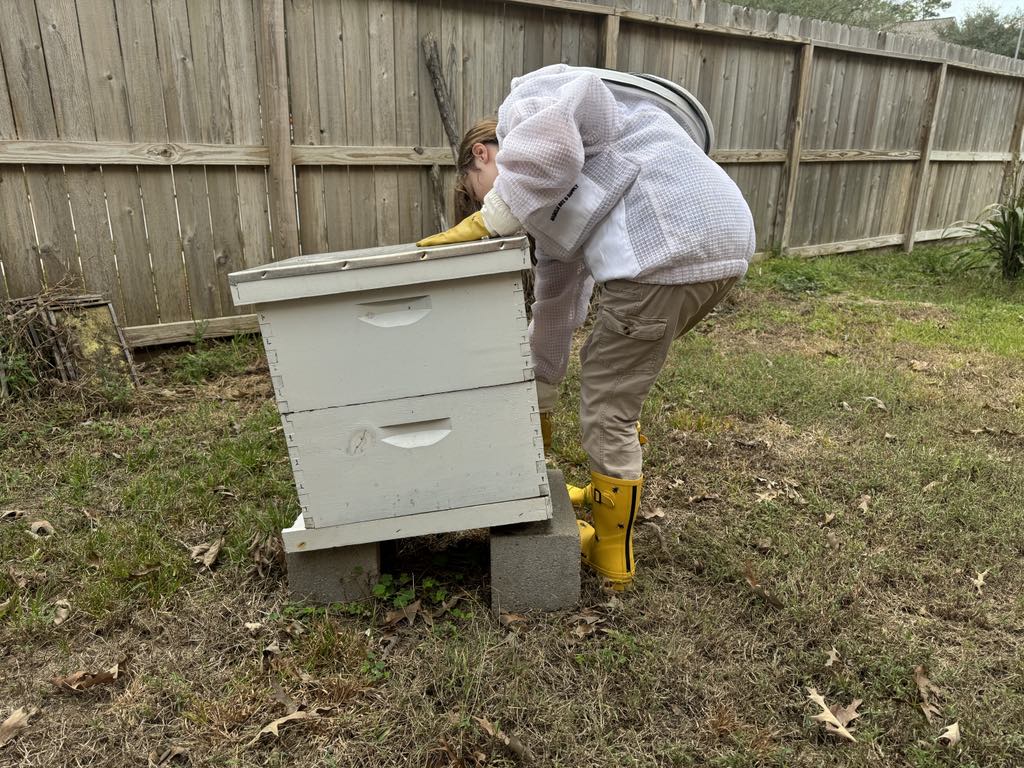 Beehive Maintenance: How to Keep Bees Alive During Winter — The Bee Supply