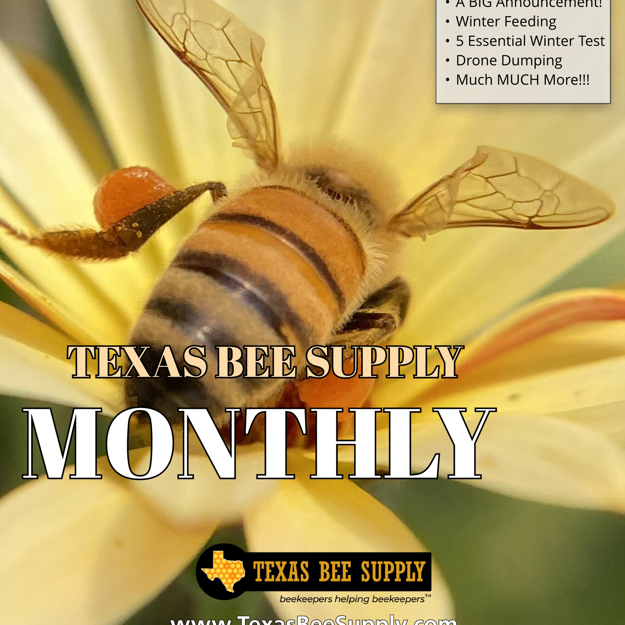 The Bee Supply Monthly Magazine — Texas Bee Supply