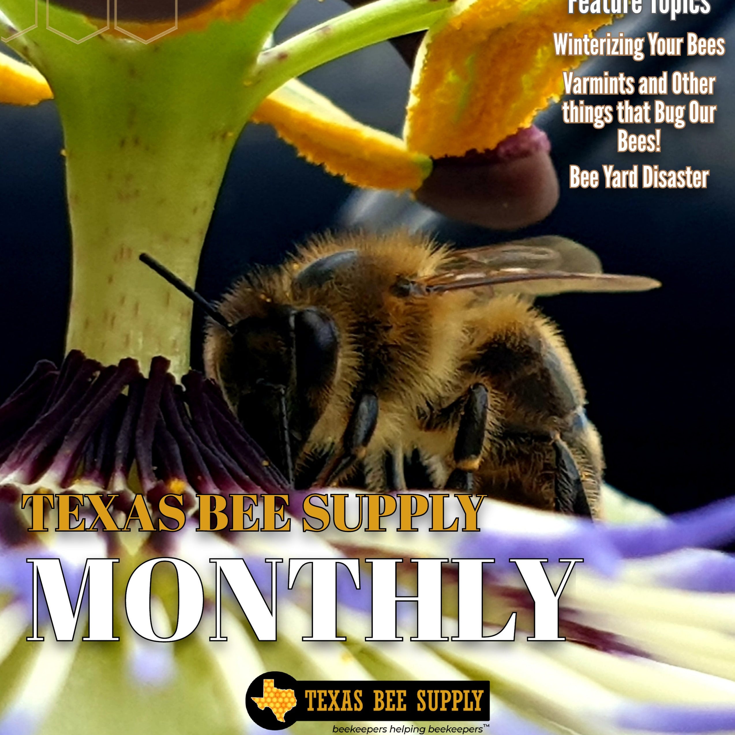 The Bee Supply Monthly Magazine — Texas Bee Supply