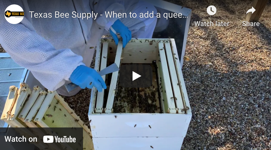 How to add a queen excluder to your hive - video — Tagged "" — The Bee ...