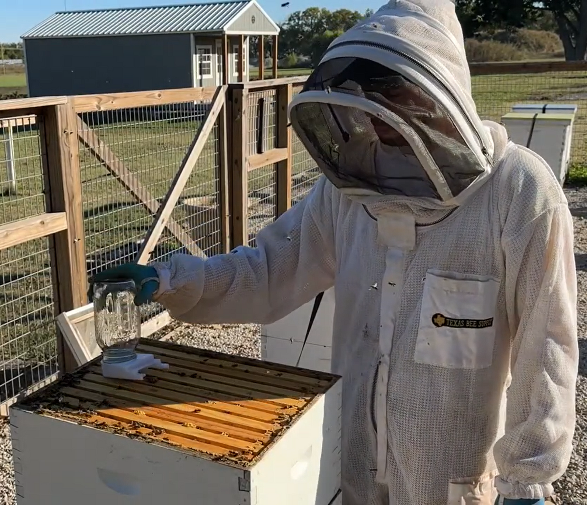 Feeding Bees in Late Fall and Winter — The Bee Supply