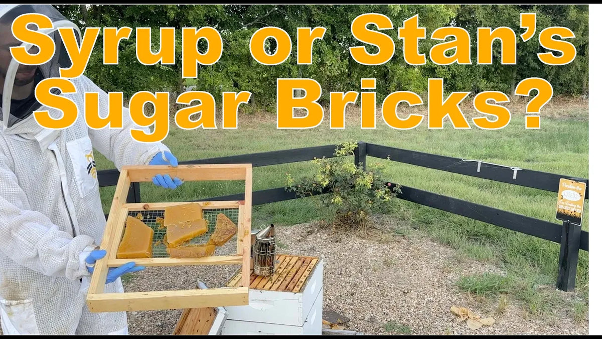 WATCH: Should I Feed Syrup or Stan's Soft Sugar Bricks? — The Bee Supply