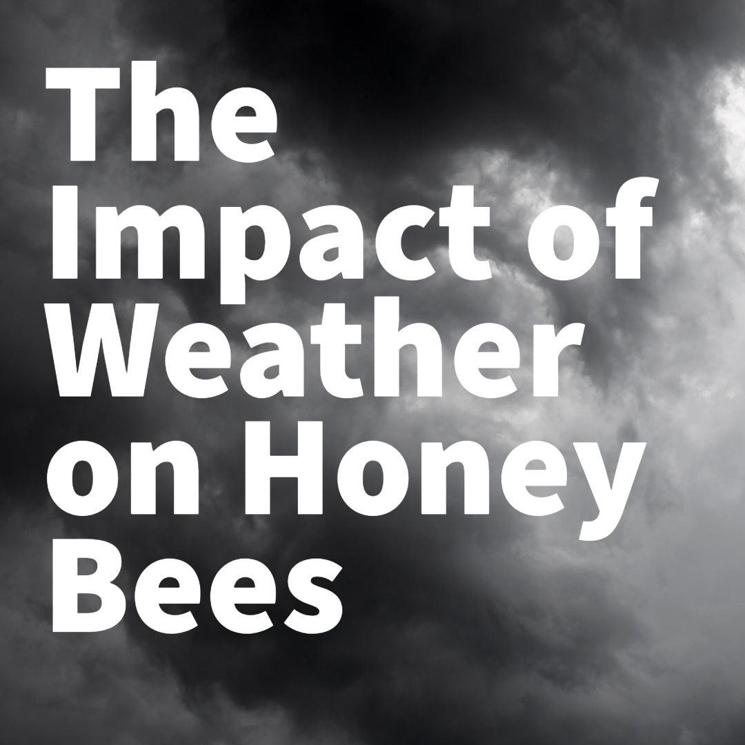 The Impact of Weather on Honey Bees — The Bee Supply