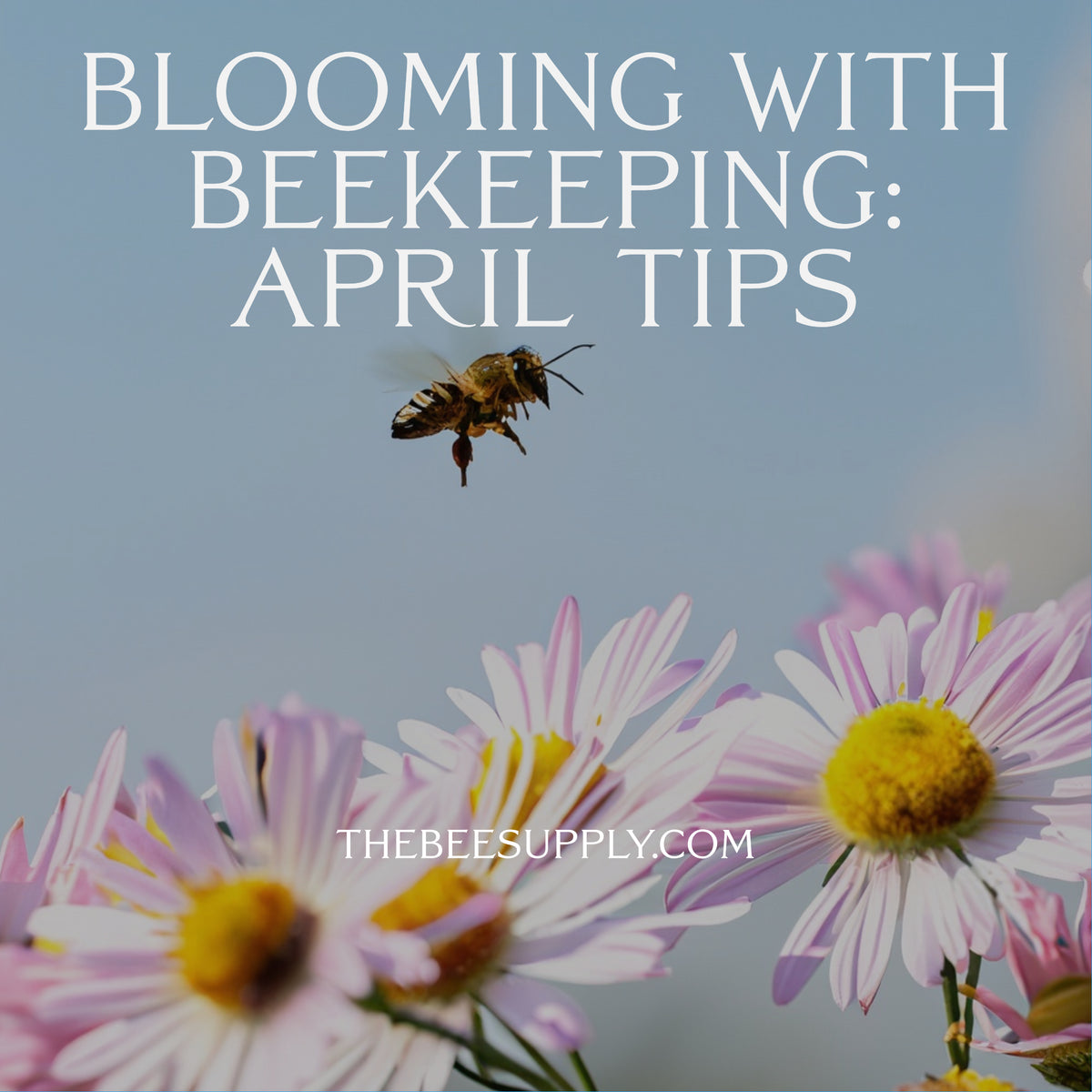 April Beekeeping Tips 2024 — The Bee Supply