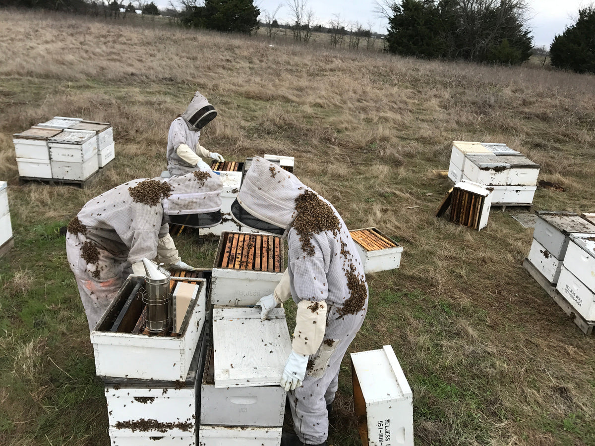 Simple Splits: Tips on How to Grow Your Beeyard Using Your Own Bees ...