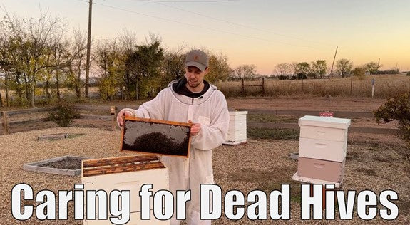 Caring for Dead Hives - Video — The Bee Supply