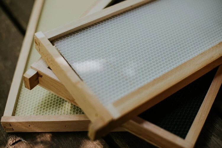 Plastic Frames vs Wood Frames w/ Plastic Foundation — The Bee Supply