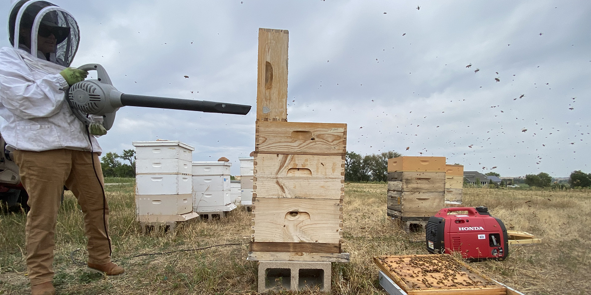 Ways to Remove Bees from Supers — The Bee Supply