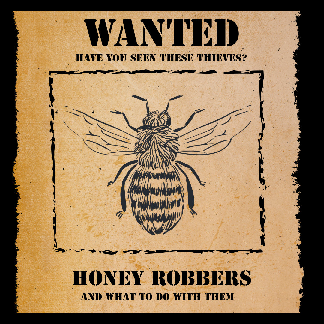 I'm Being Robbed! What Can I Do About Honey Robbing? — The Bee Supply