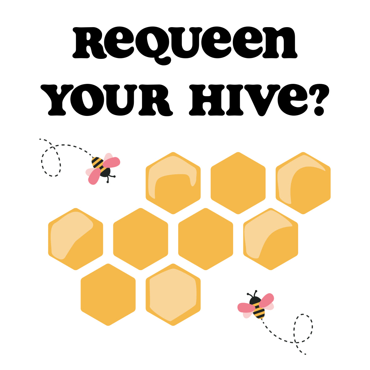HOW TO TELL IF YOUR HIVE IS QUEENLESS OR NEEDS TO BE REQUEENED — The ...