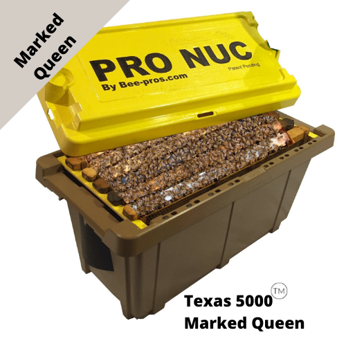 2026 Texas 5000 Nuc with Marked Queen — The Bee Supply