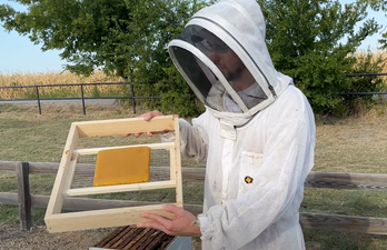 Stan's Soft Sugar Brick with Complete — The Bee Supply