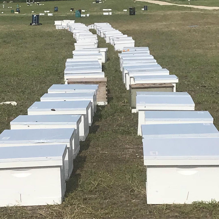 The Bee Supply - Bees for sale, Beekeeping Supplies, and Classes