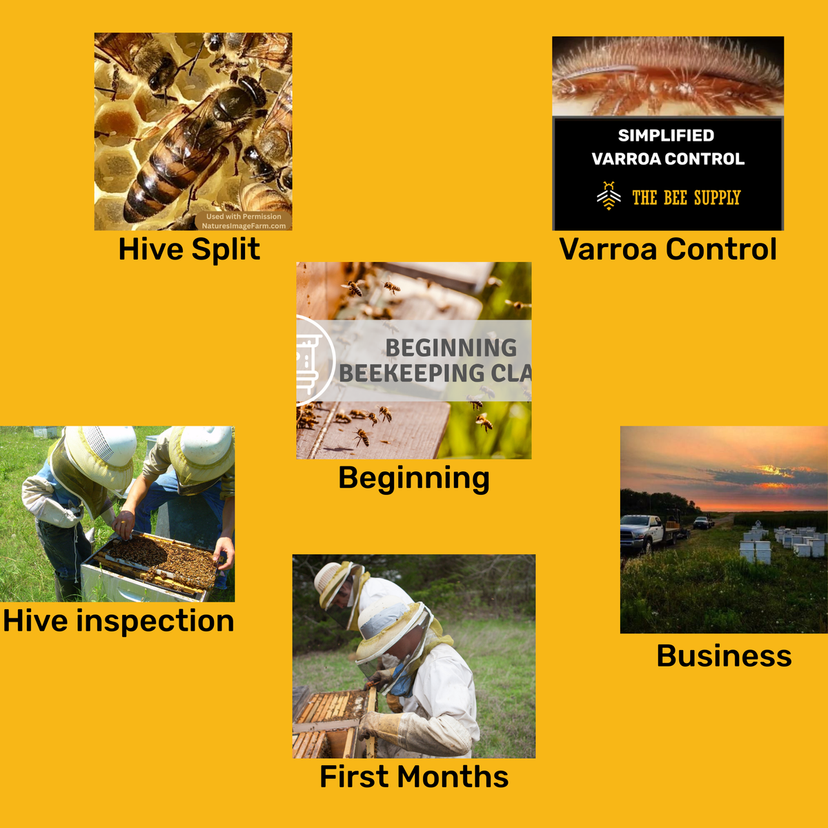 Virtual Class Bundle — The Bee Supply
