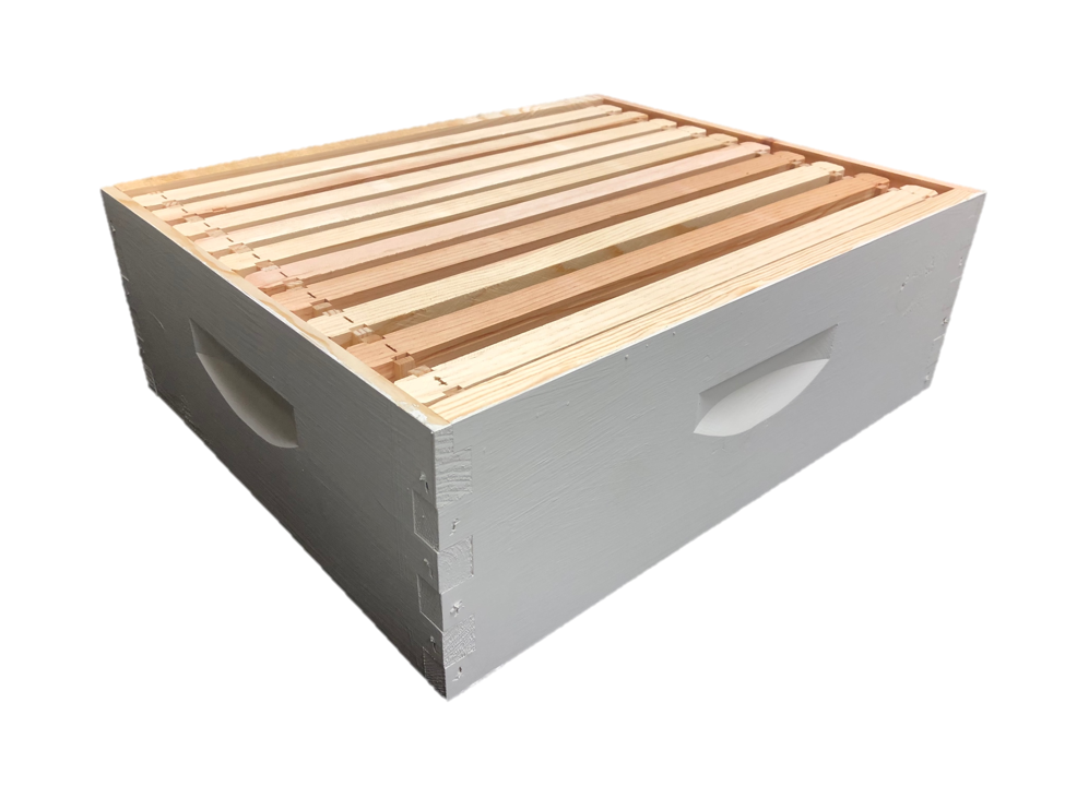 10 Frame Medium (6 5/8) Assembled Hive Box — The Bee Supply
