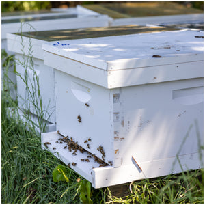 2026 Summer Single Story Hive (Pickup only) — The Bee Supply