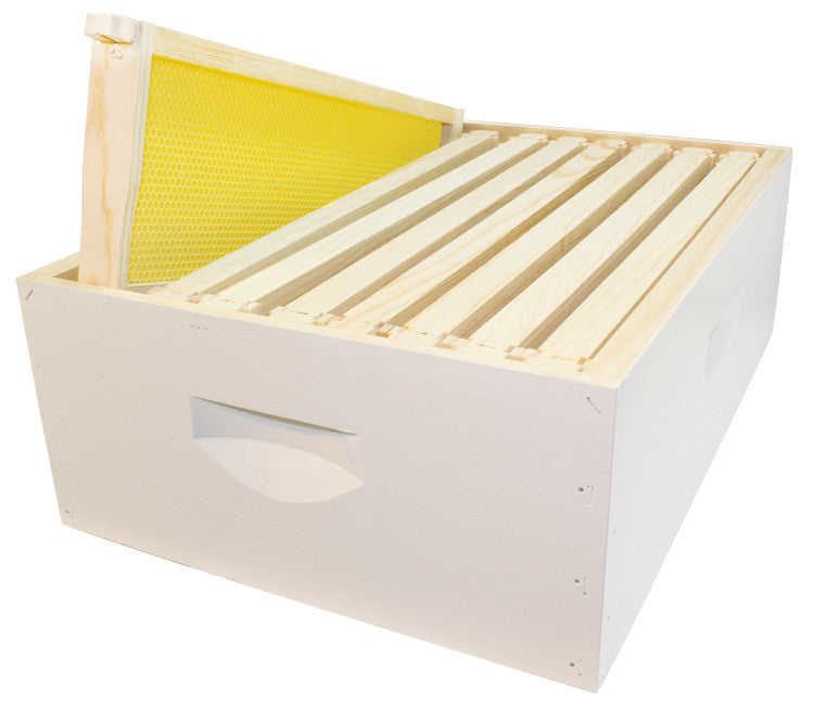 8 Frame Med Assembled White Hive Combo w/Frames & Foundation — The Bee ...